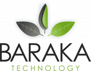 SEO, SEM, RRSS & Webs - Baraka technology